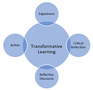 Transformative Training: How to Foster Learning for Contact Center Teams